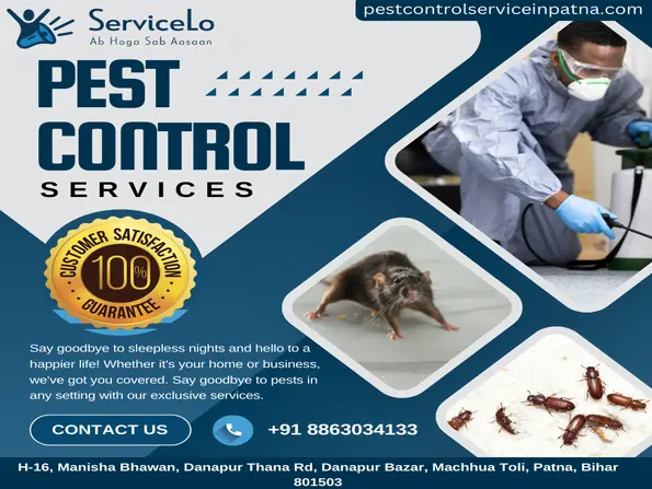 Professional Pest Control in Patna | Pest Contol with Professionals